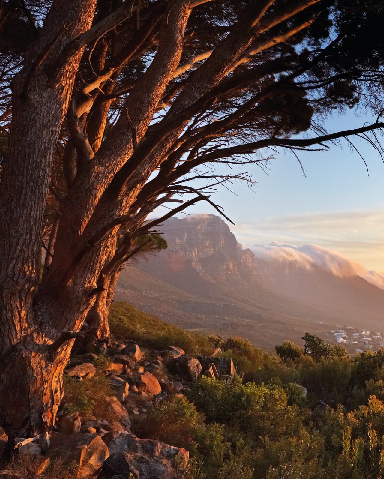 Mount Nelson, A Belmond Hotel | Luxury Resorts in Cape Town