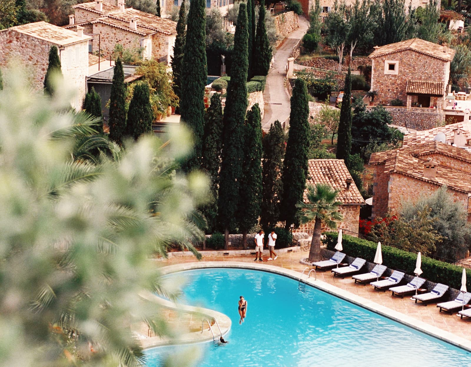 Mejores restaurantes, Mallorca, España | El Olivo, Mallorca