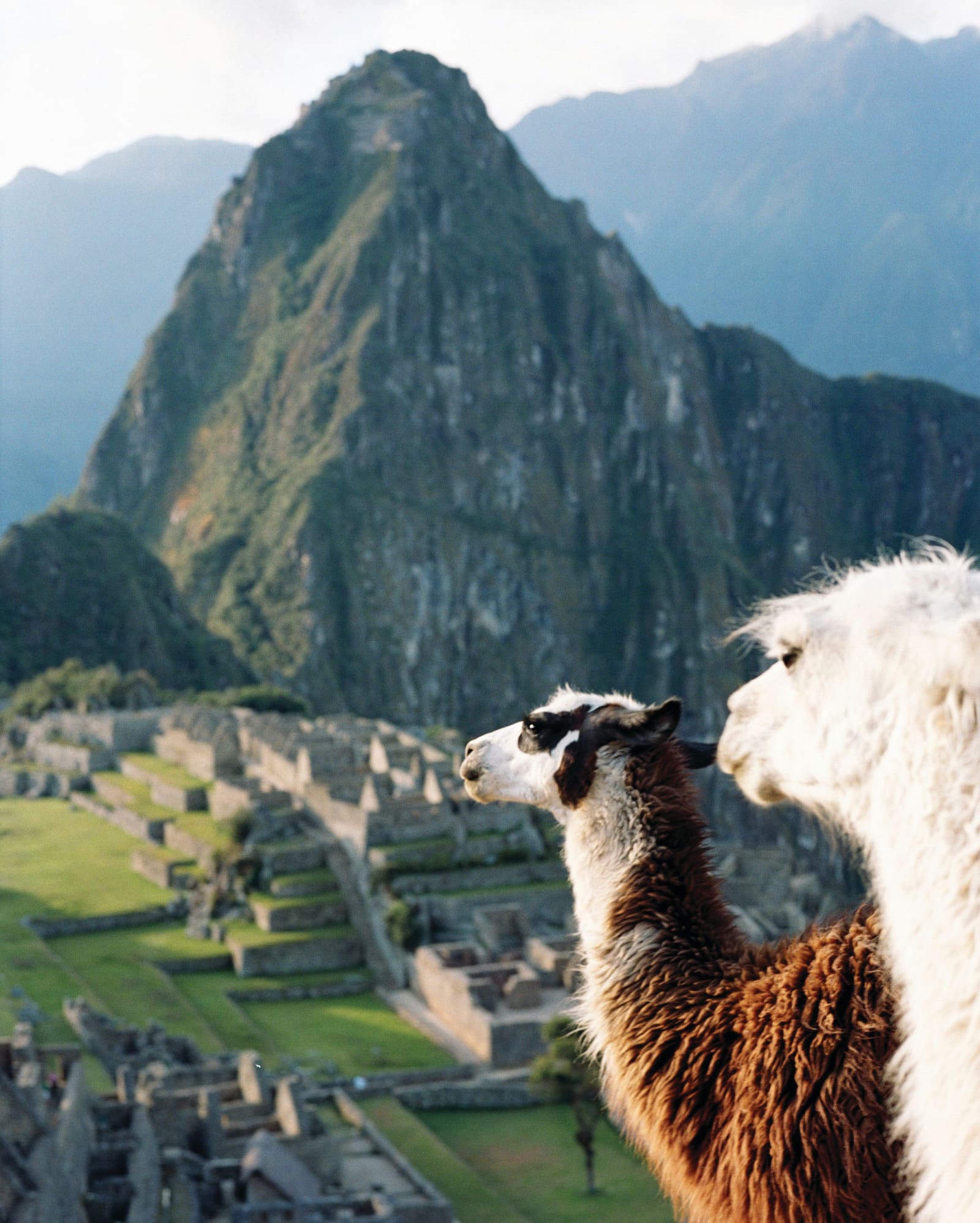 Andean Explorer, A Belmond Train | Luxury Train Travel in Peru