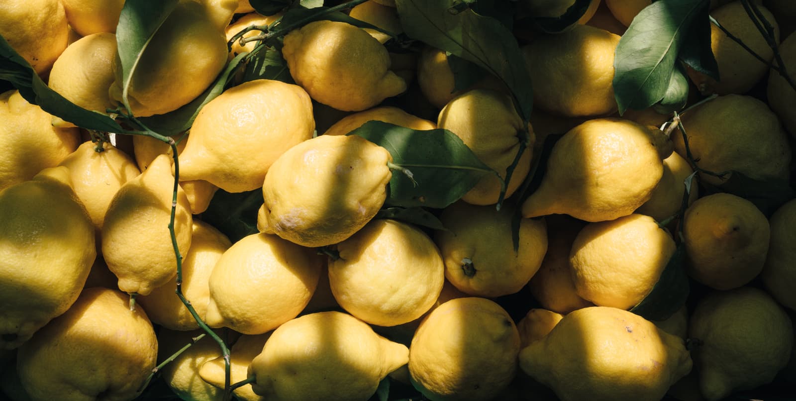 The Mediterranean Diet | Experience Mediterranean Cuisine