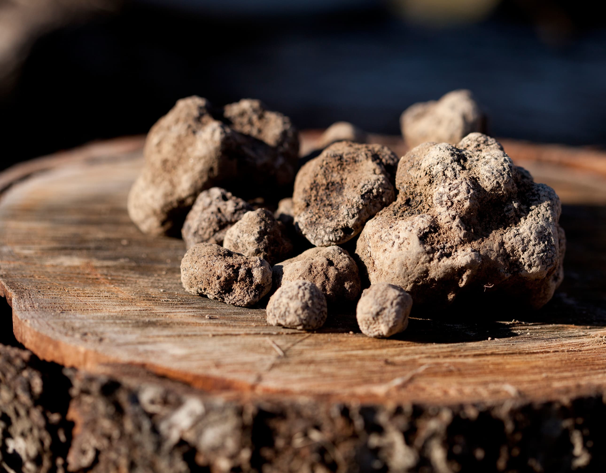 Things To Do in France | Les Bateaux Belmond