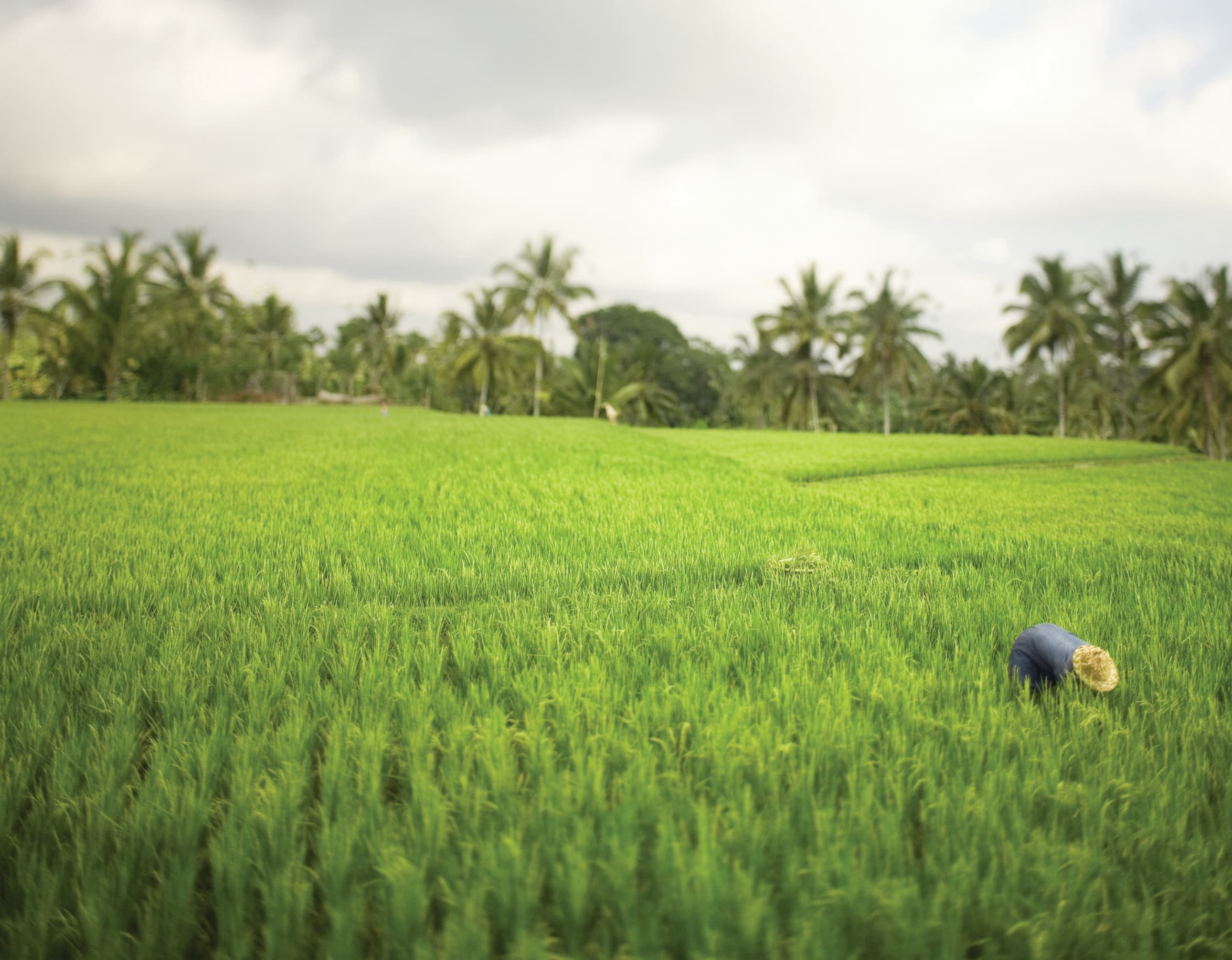 Things to do in Bali | Attractions on Jimbaran Bay