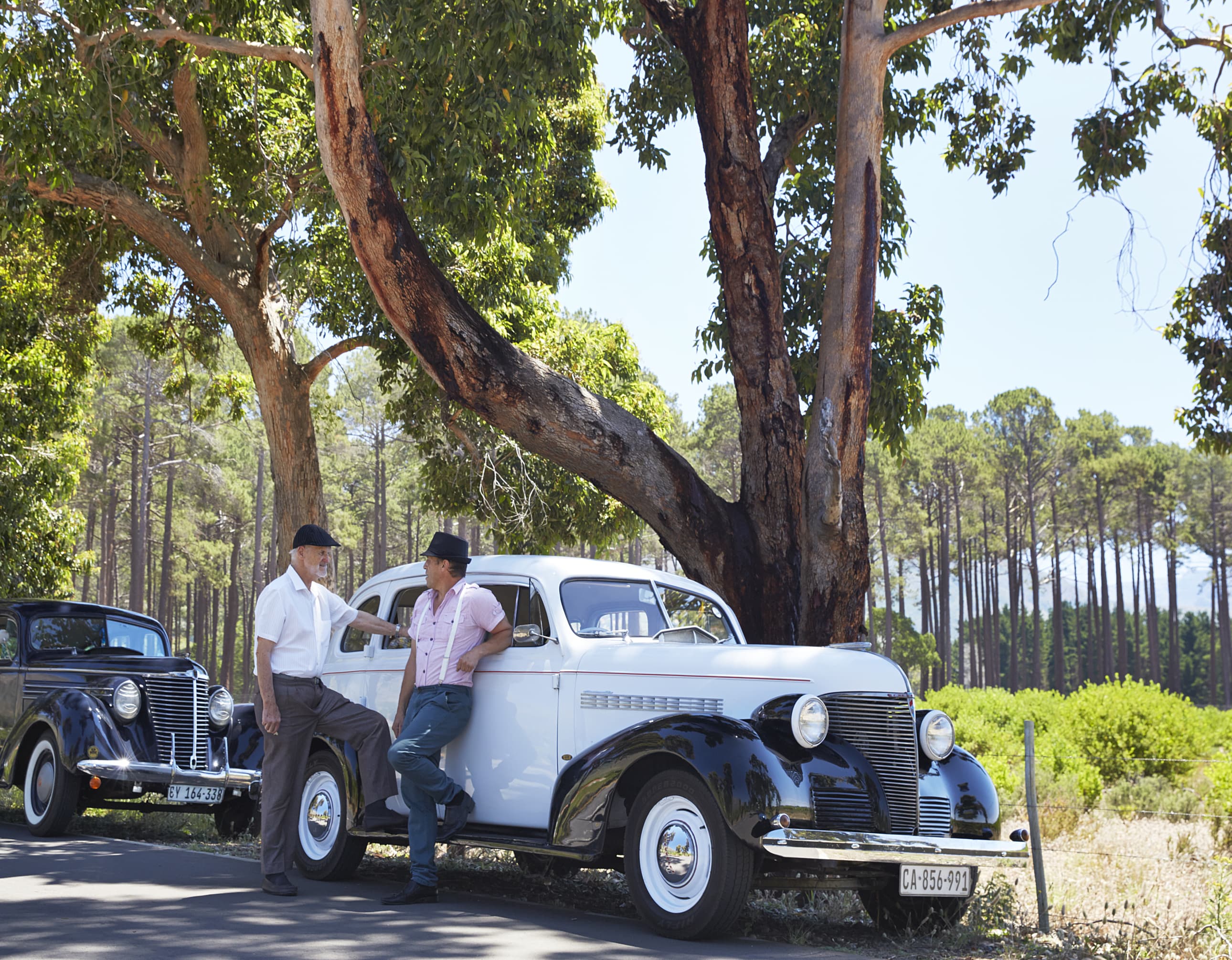 Things To Do in Cape Town | Cape Town Attractions & Tours