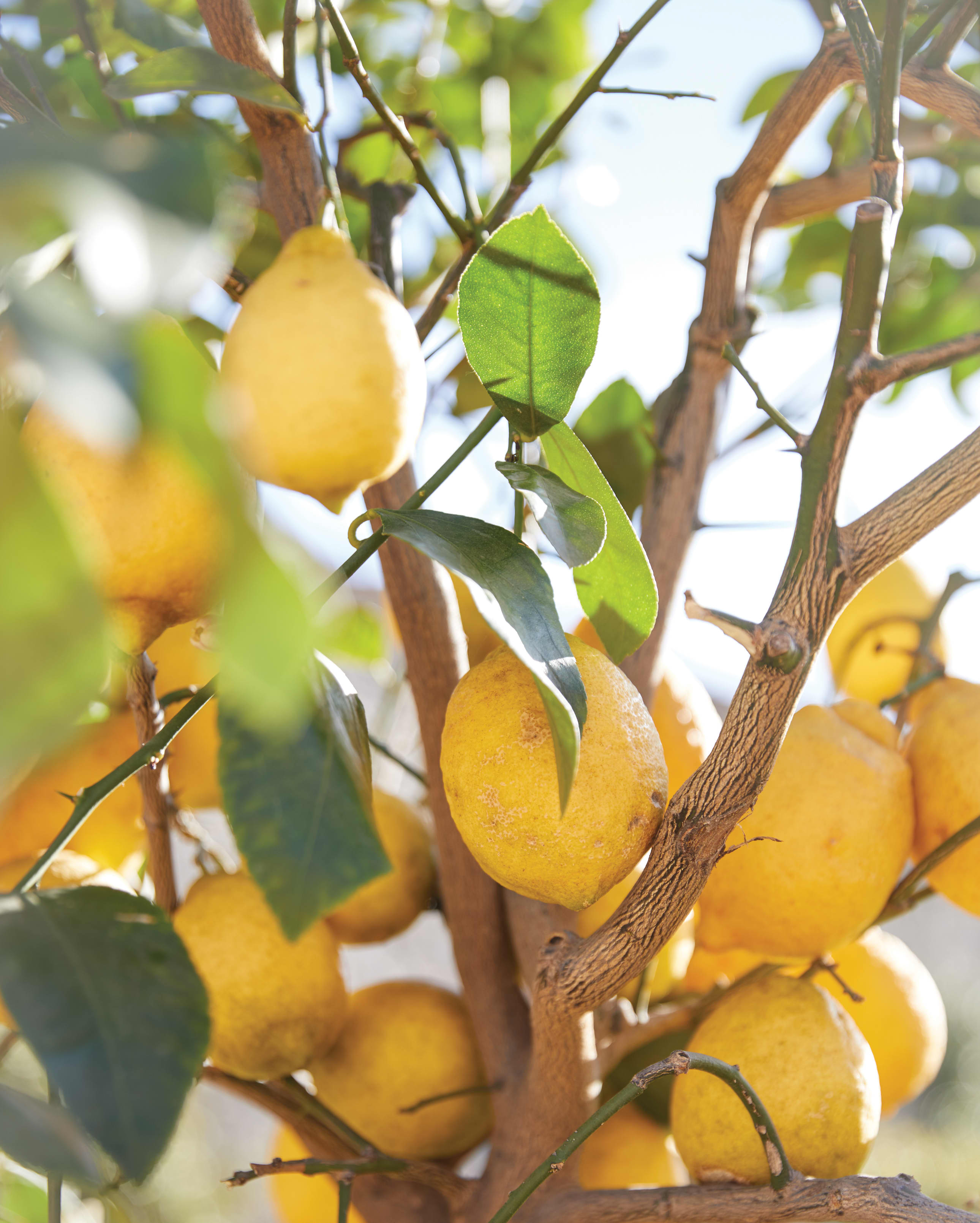 Grand Tour of Europe | Best European Vacations