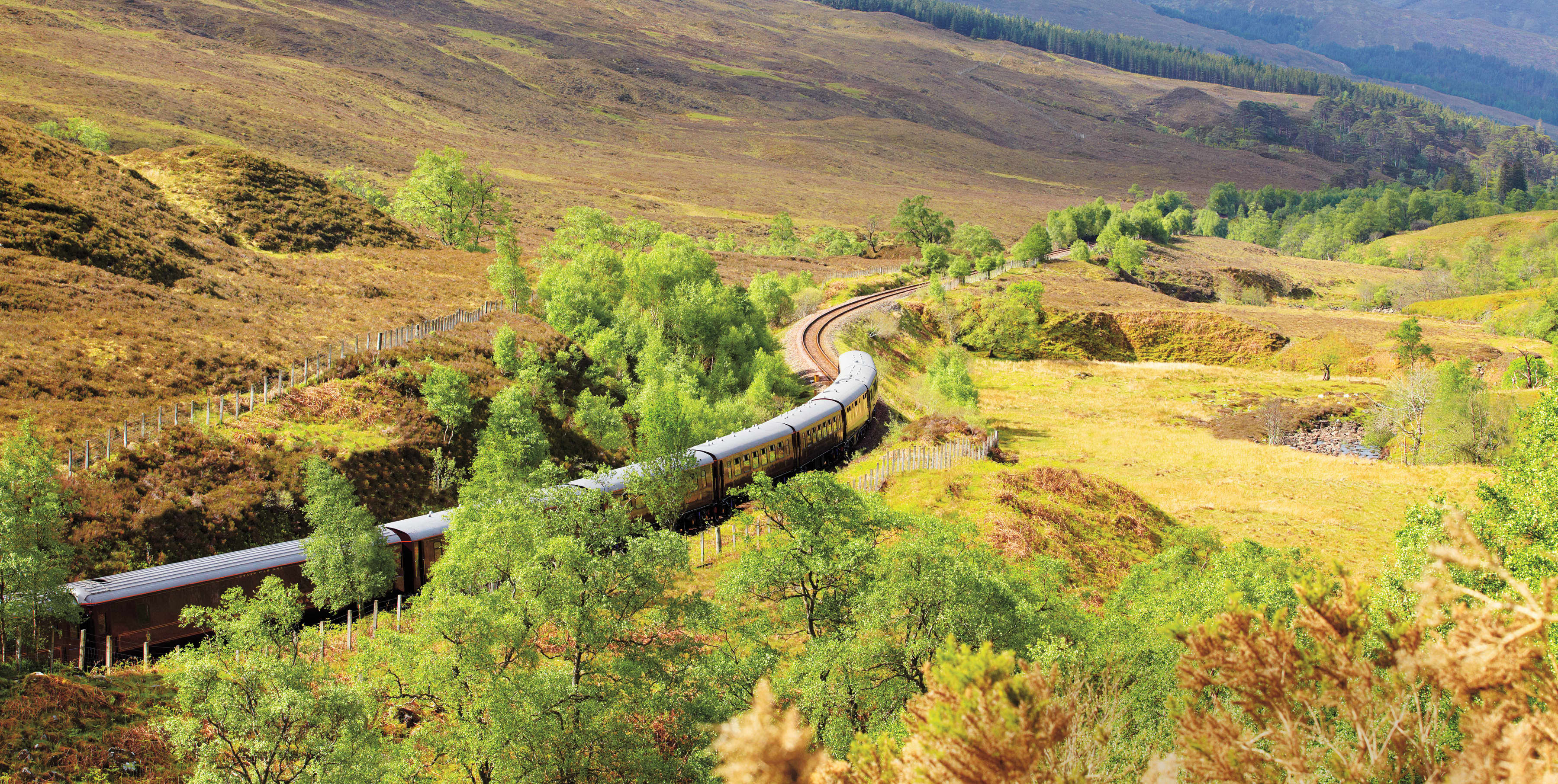 Royal Scotsman, A Belmond Train | Luxury Scotland Train Tours
