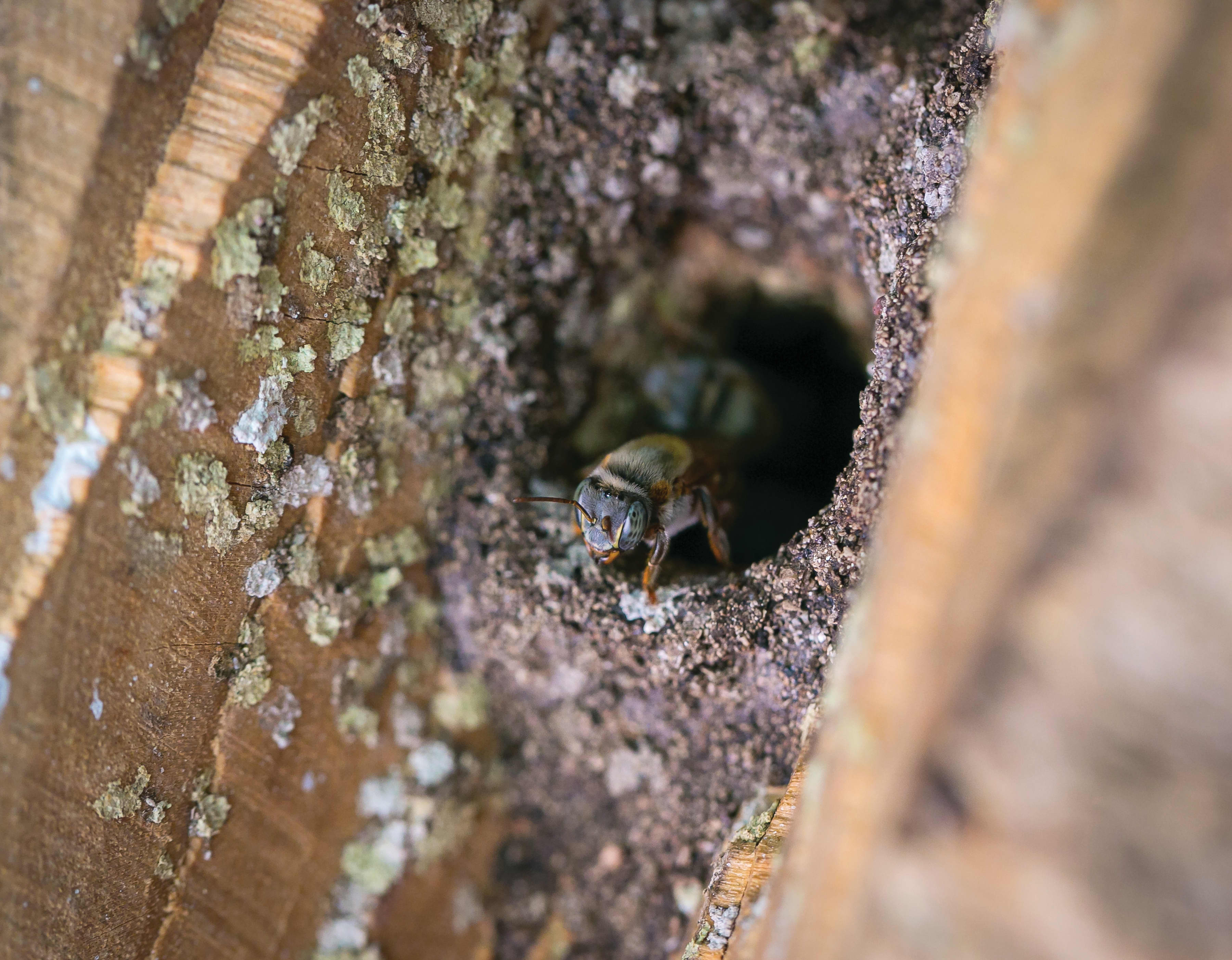 Maroma Spa by Guerlain | Mexico Wellness Retreat