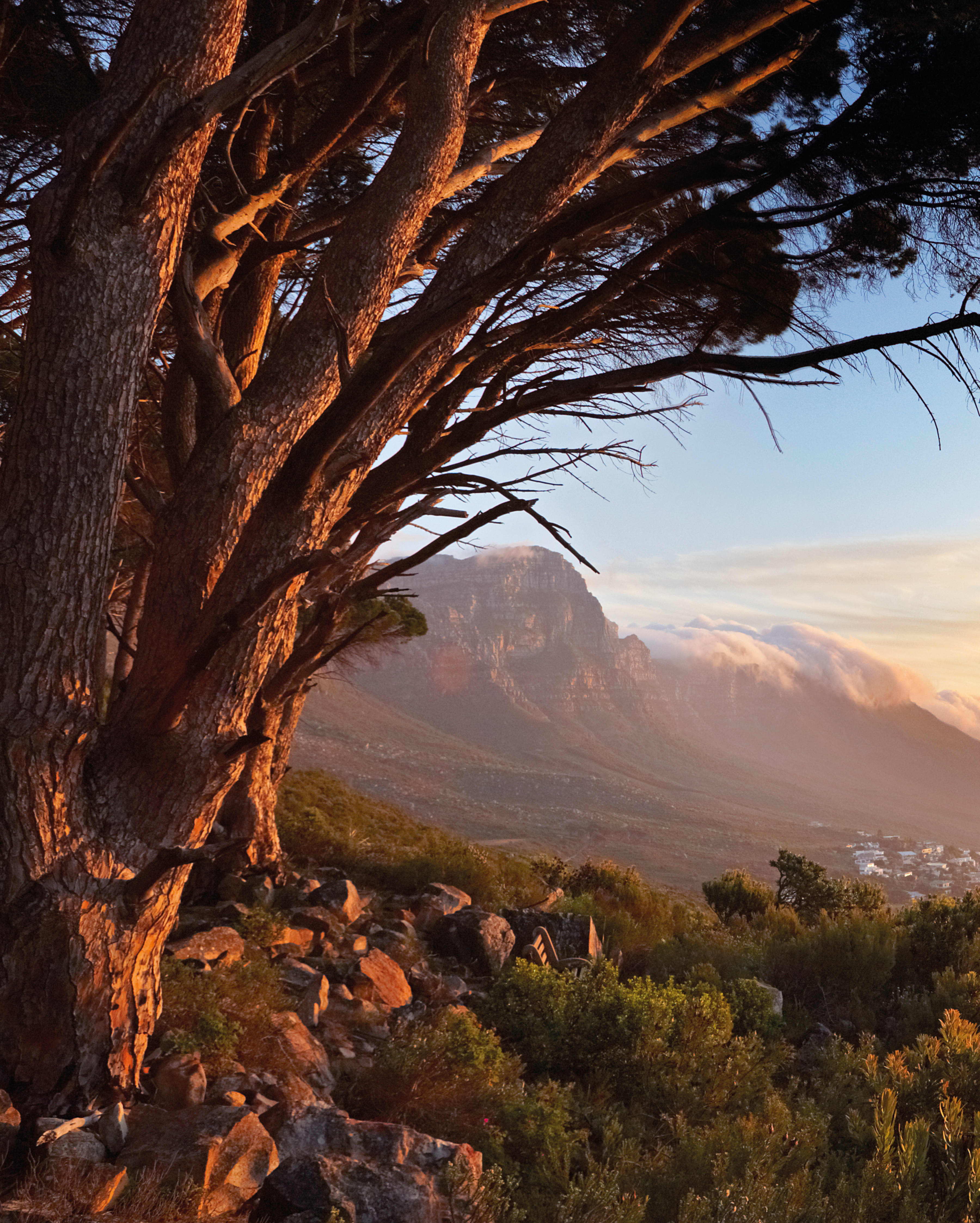 Mount Nelson, A Belmond Hotel | Luxury Resorts in Cape Town