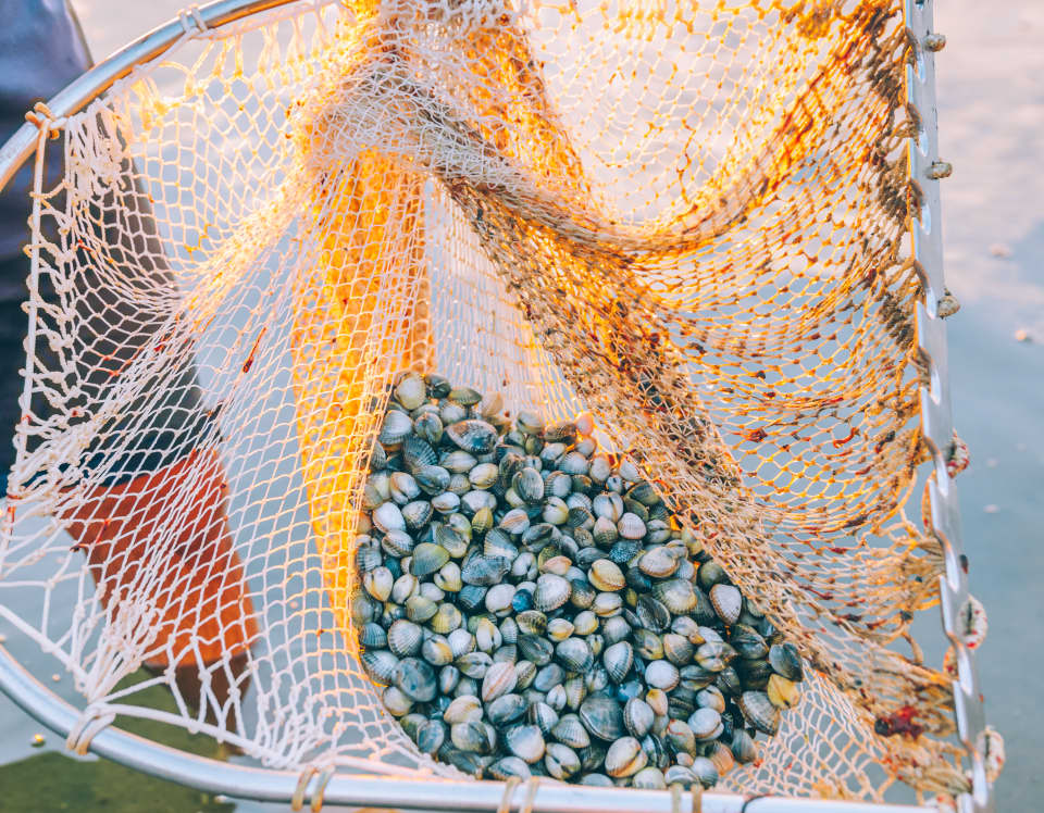 Unique Sicily Tours & Excursions | Day Trips from Taormina